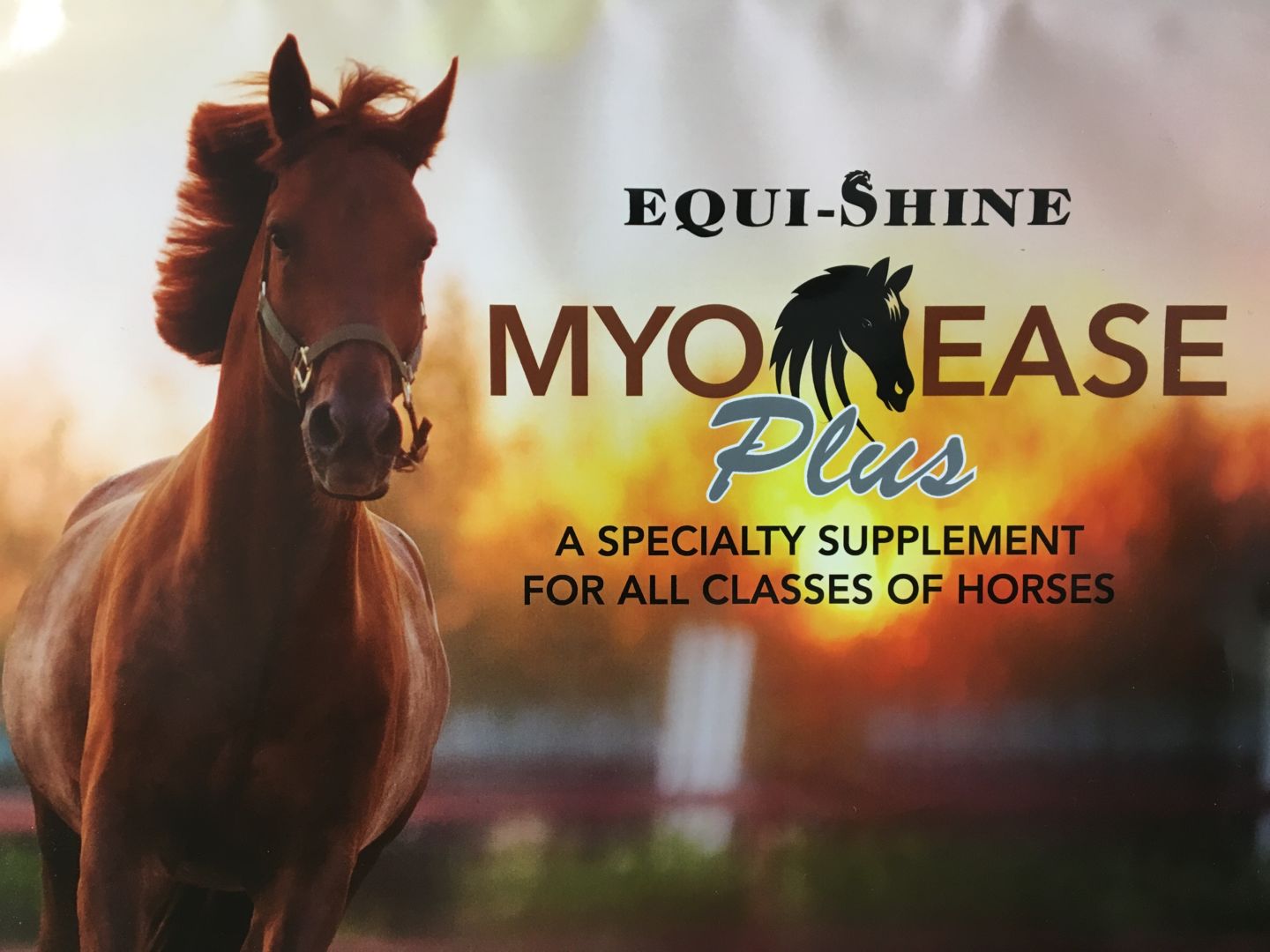 Myo-Ease Plus - Doctor's Choice Supplements